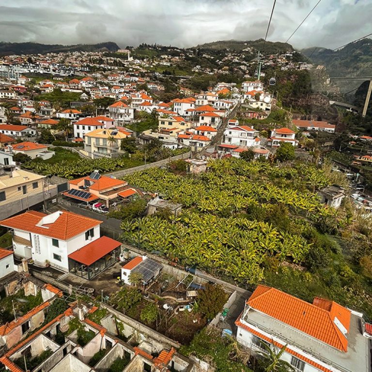 Putovanje na ostrvo Madeira 2026 | Utisci i saveti za putovanje